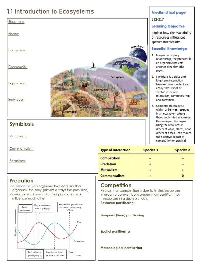 APES+Year+Notes 4 | PDF | Food Web | Primary Production