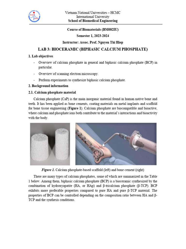 Lab on Biphasic Calcium Phosphate | PDF | Bioceramic | Scanning ...