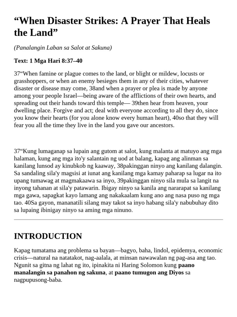 When Disaster Strikes | PDF