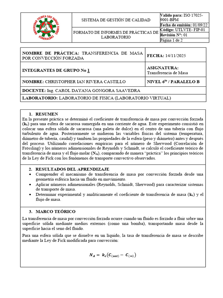 Informe Masa | PDF | Transferencia de masa | Convección