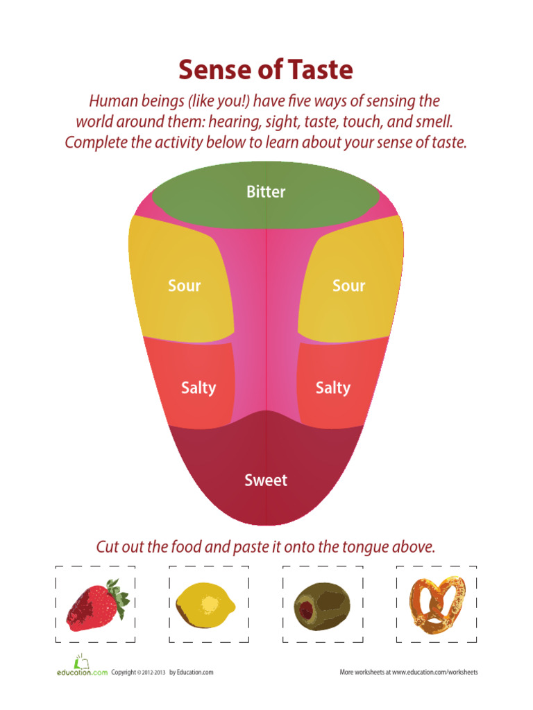 Sense of Taste Worksheet Activity | PDF