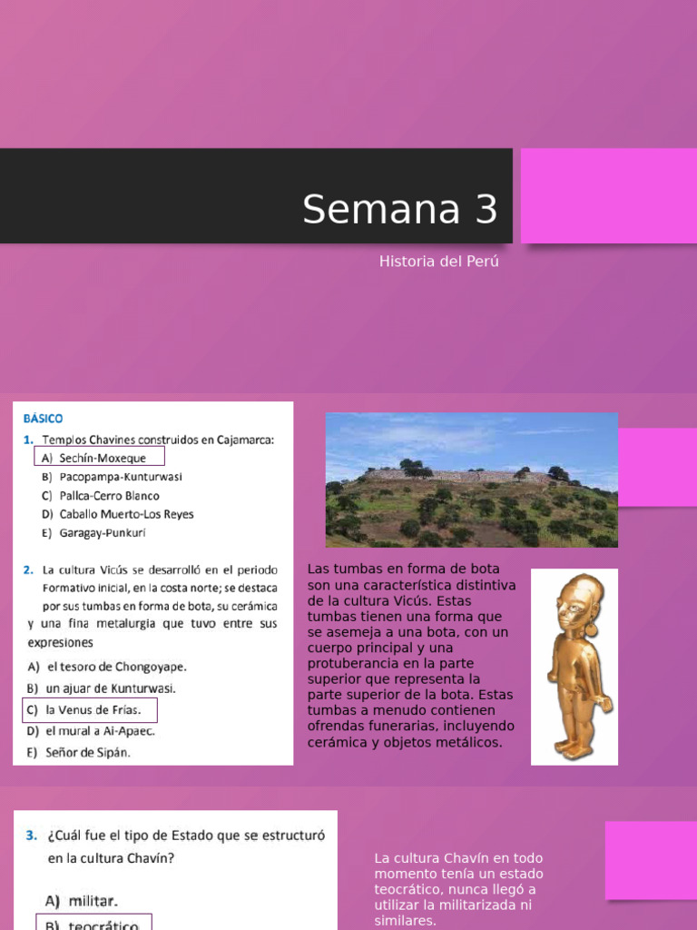 Semana 3 HP | PDF