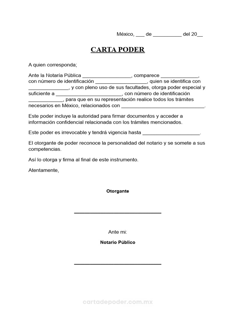 Carta Poder Notarial en México | PDF