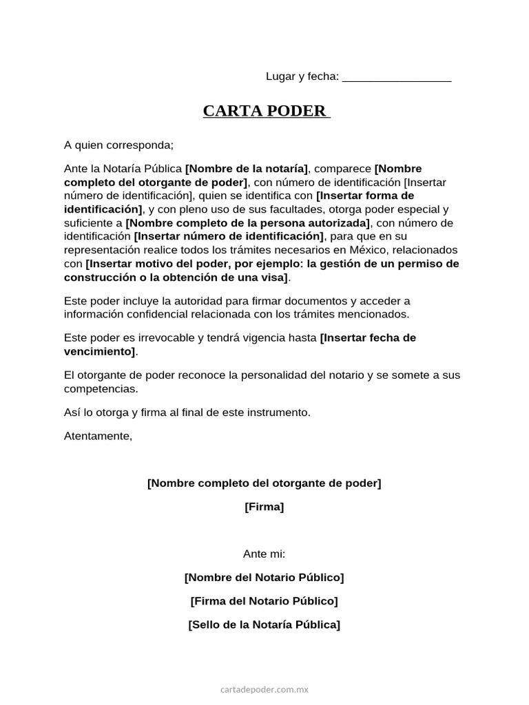 Modelo de Carta Poder Notarial | PDF