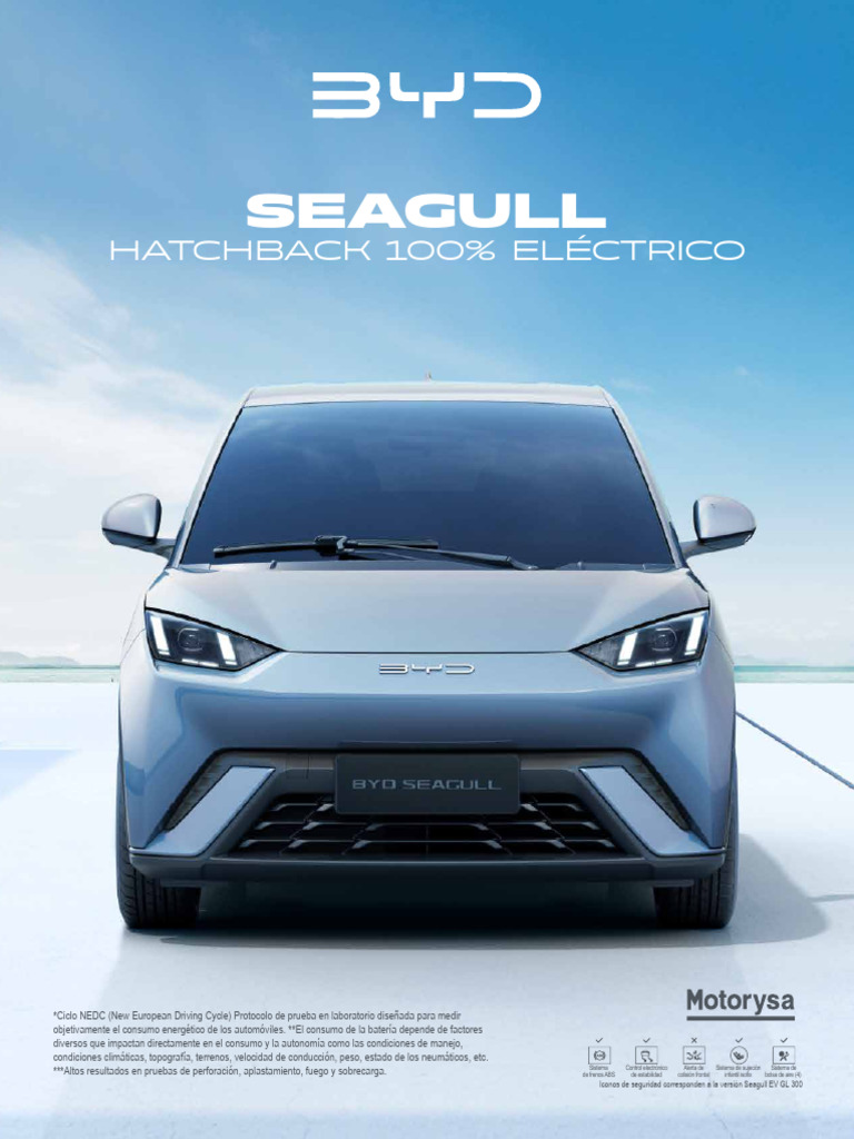 SEAGULL | PDF | Airbag | Coche