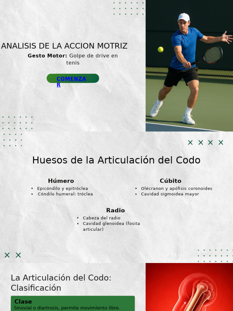 Accion Motriz | PDF