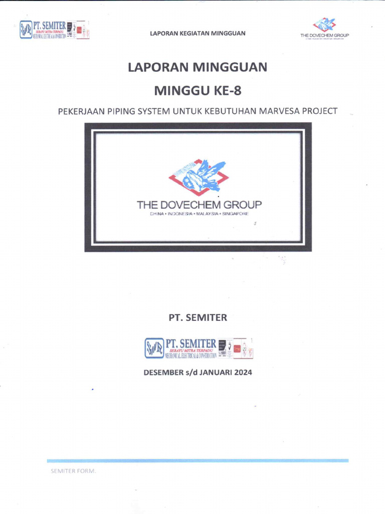 Weekly Report W8 Marvesa | PDF