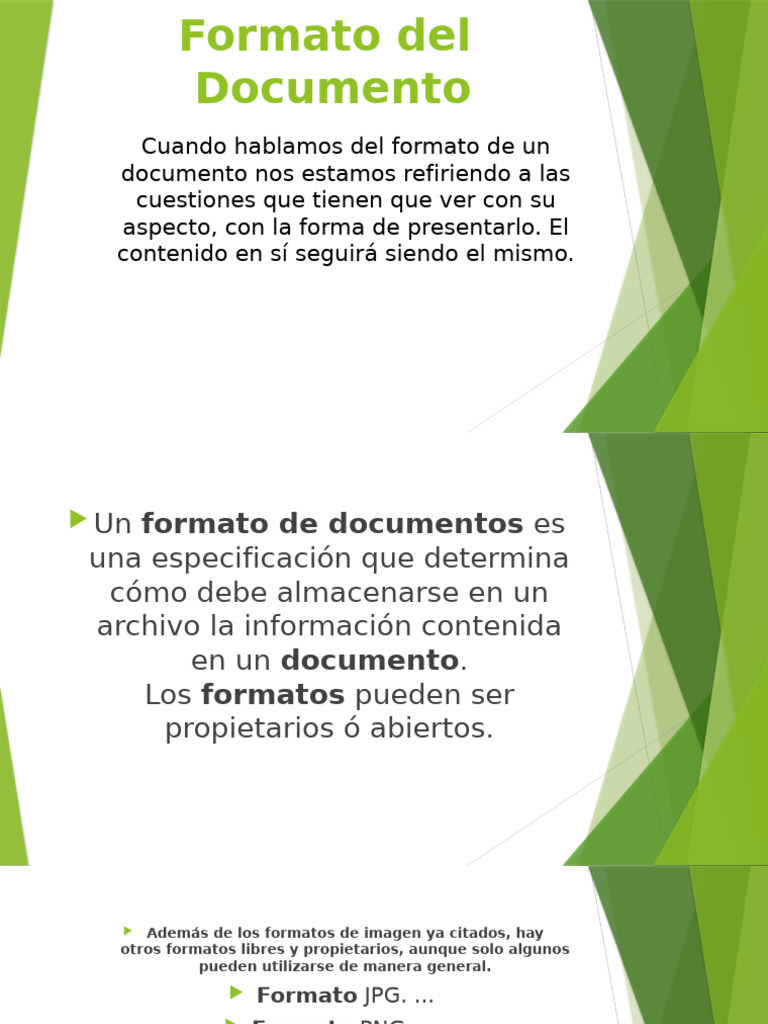 Formato de Un Documento Flavio Josa | PDF