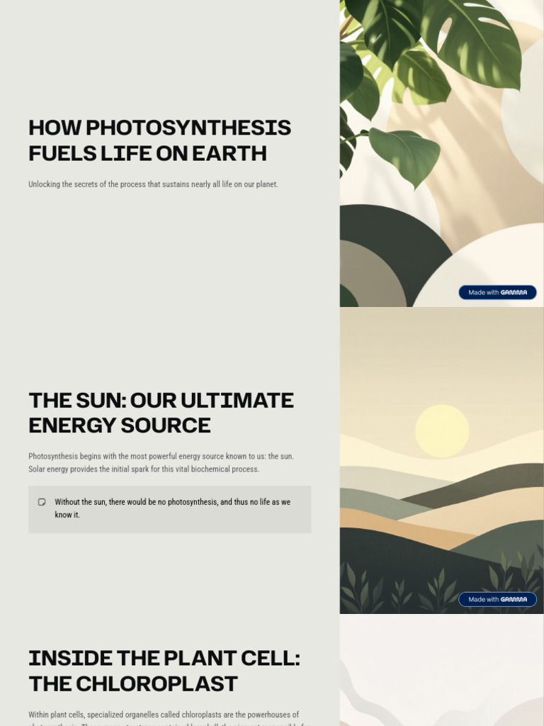 How Photosynthesis Fuels Life On Earth | PDF | Photosynthesis | Carbon ...