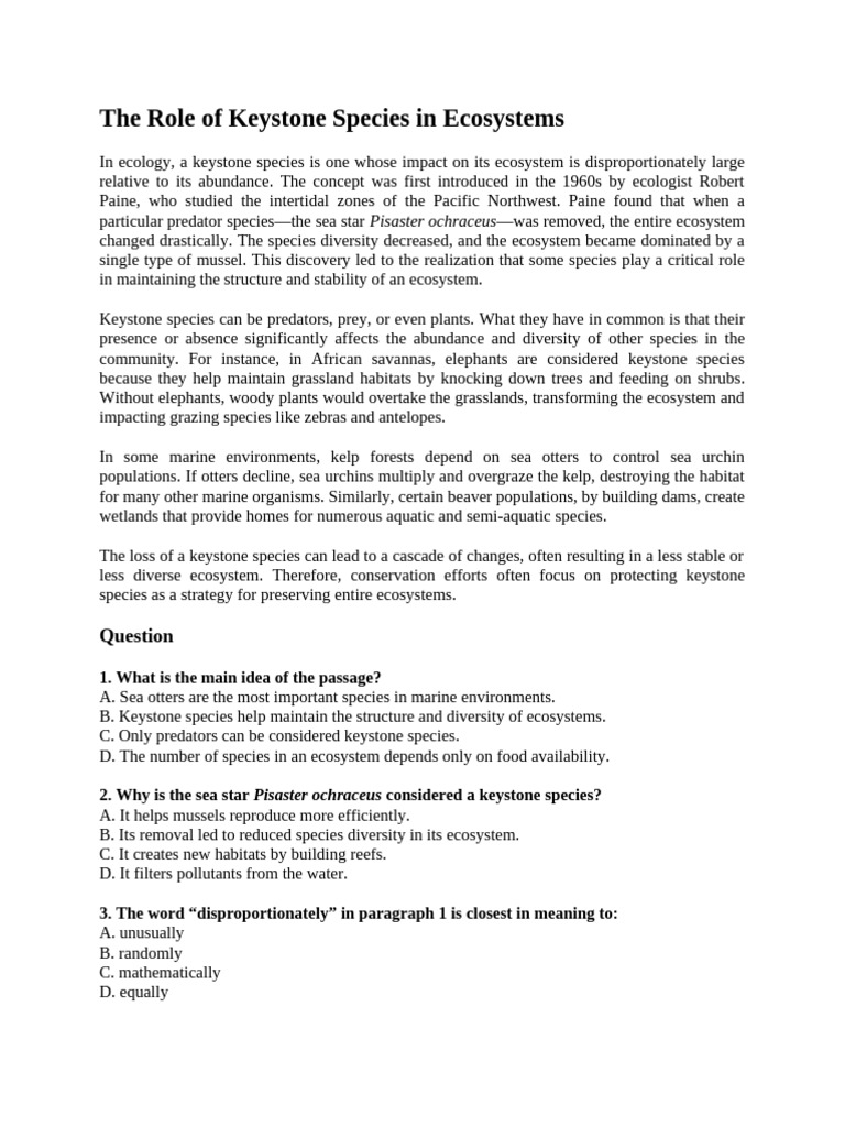 Quiz Reading Comprehension | PDF | Habitat | Landscape