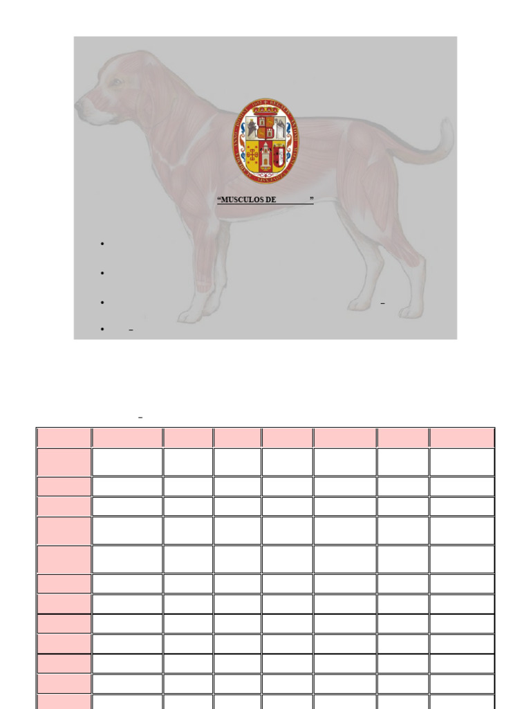 Anatomía de los músculos del perro | PDF | Abdomen | Hombro
