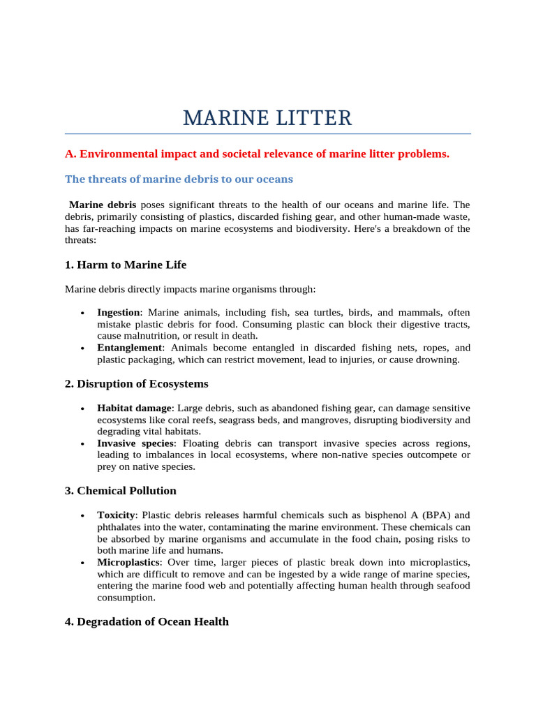 Marine Litter Assignment Bt12 | PDF | Sea | Debris