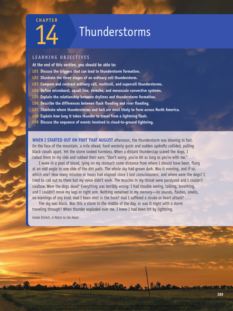 Understanding Thunderstorm Formation | PDF | Thunderstorm | Wound