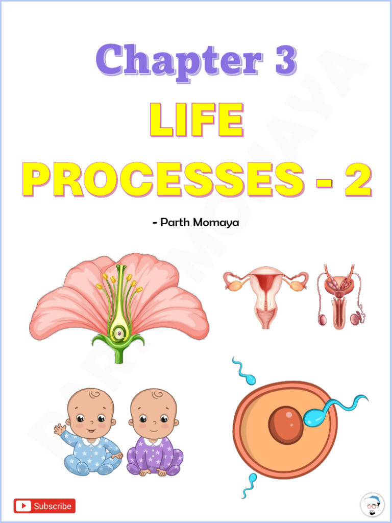 Life Processes (2) - Complete Notes | PDF | Sexual Reproduction ...