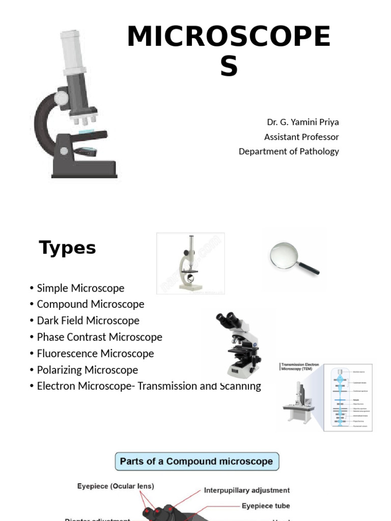 Microscopes | PDF
