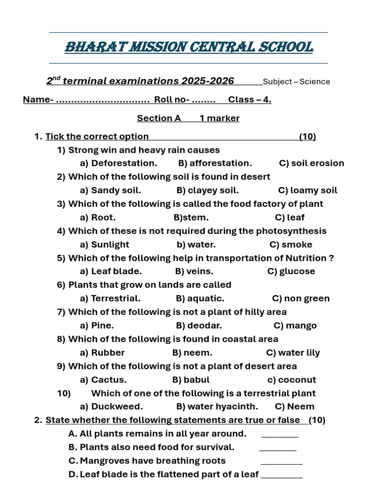 Class 4 Science | PDF | Plants | Leaf