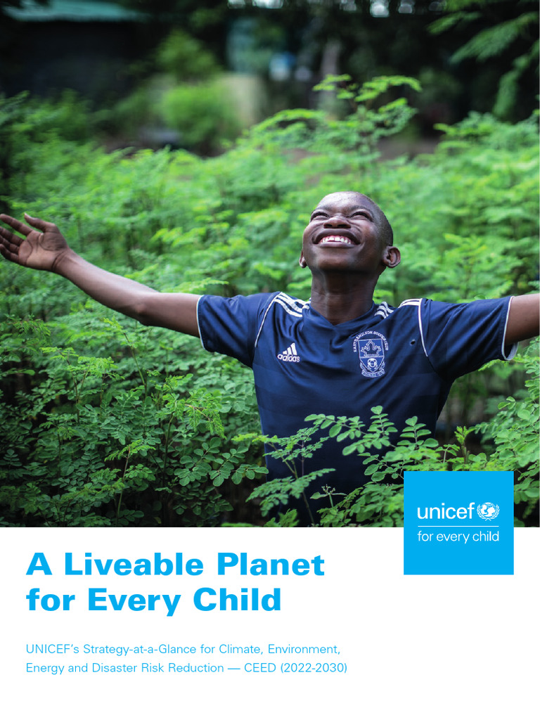 UNICEF Strategy Climate, Environment, Energy and DRR | PDF | Wash ...