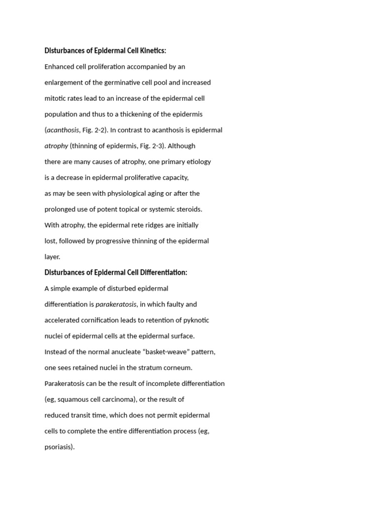 Epidermal Cell Kinetics | PDF