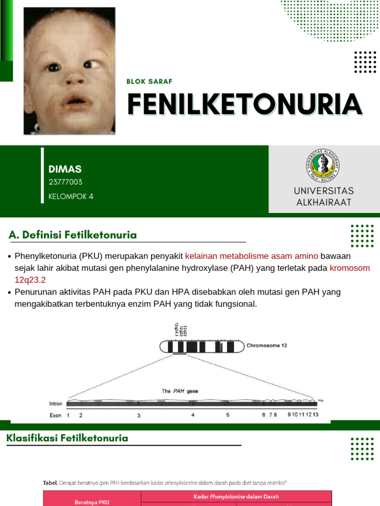 23777003_DIMAS | PDF