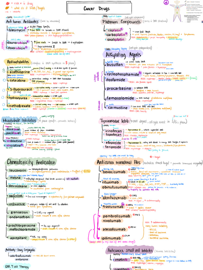 Cancer Drugs 2 | PDF | Chemotherapy | Causes Of Death