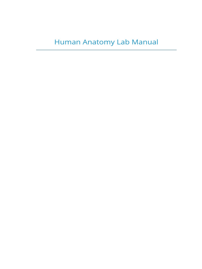 Human Anatomy Lab Manual 1686328509 | PDF | Vertebra | Anatomical Terms ...