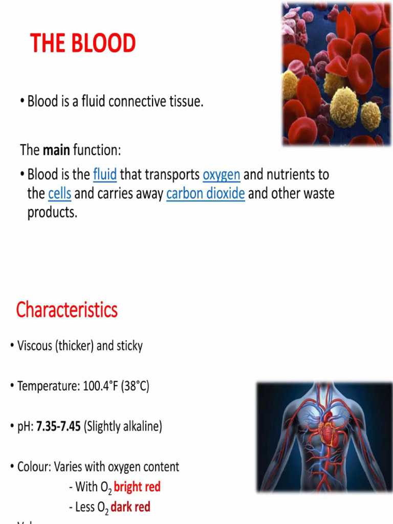 Blood | PDF