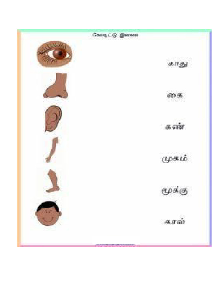 Tamil Work Sheet 5 | PDF