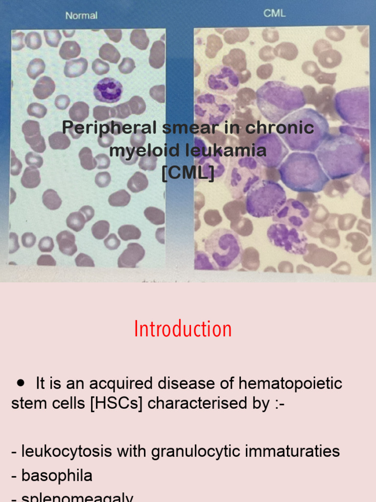 Presentation CML | PDF