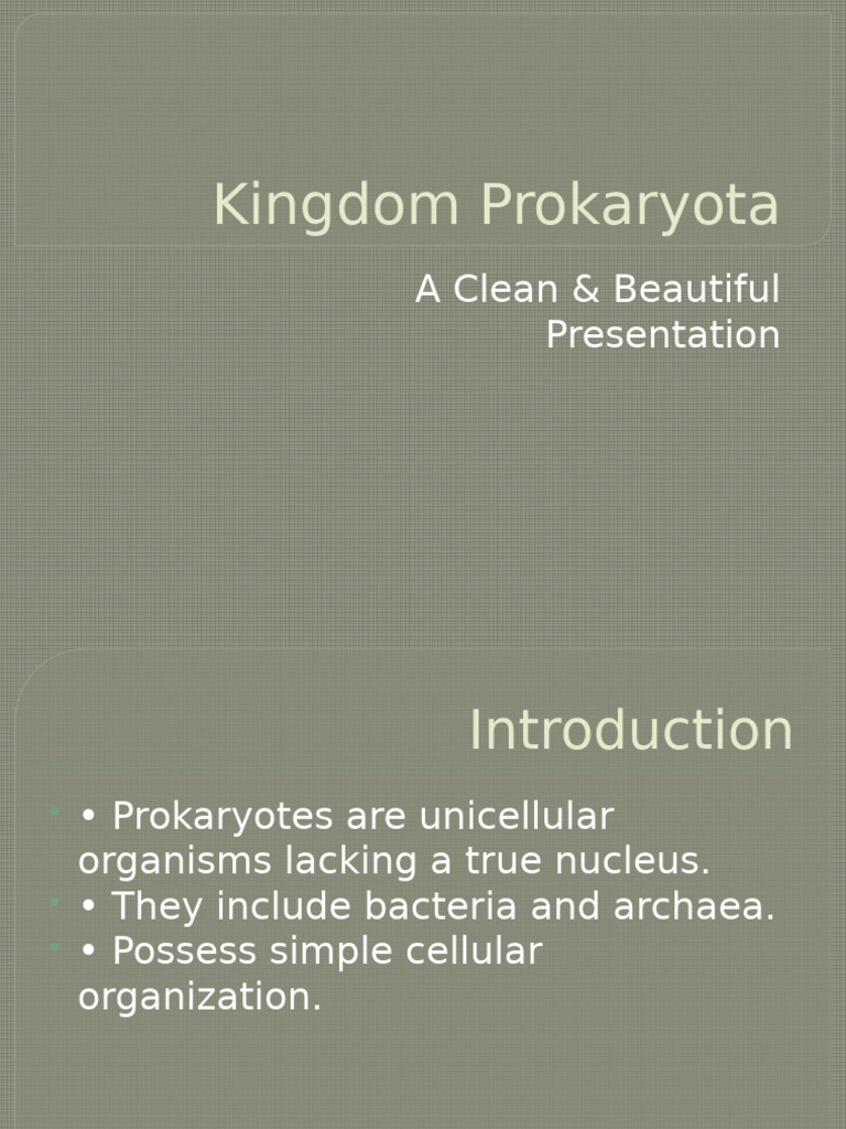 Overview of Prokaryotes and Their Roles | PDF