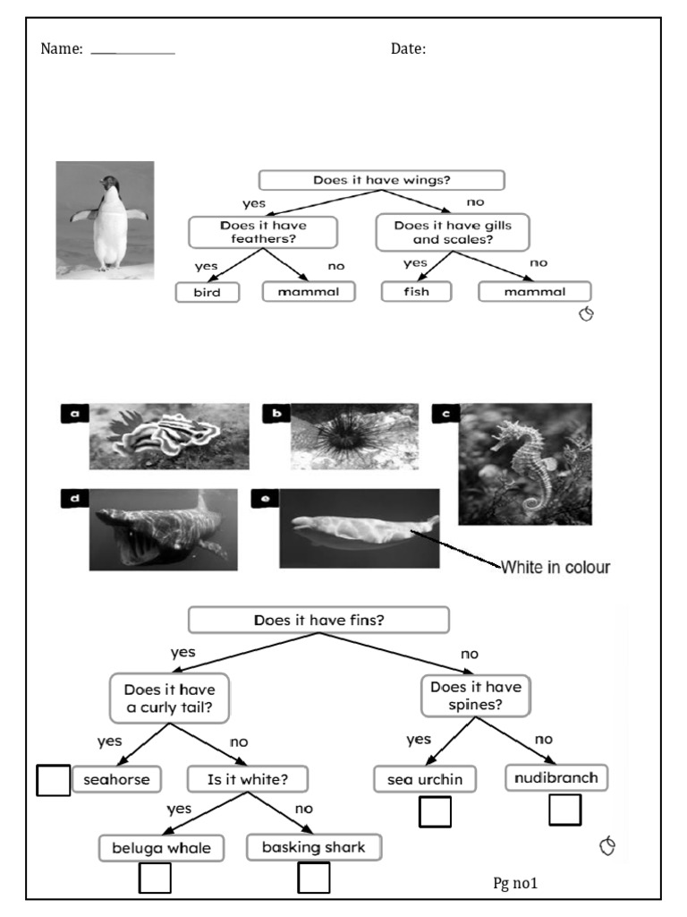 4B Habitats HW 5 | PDF