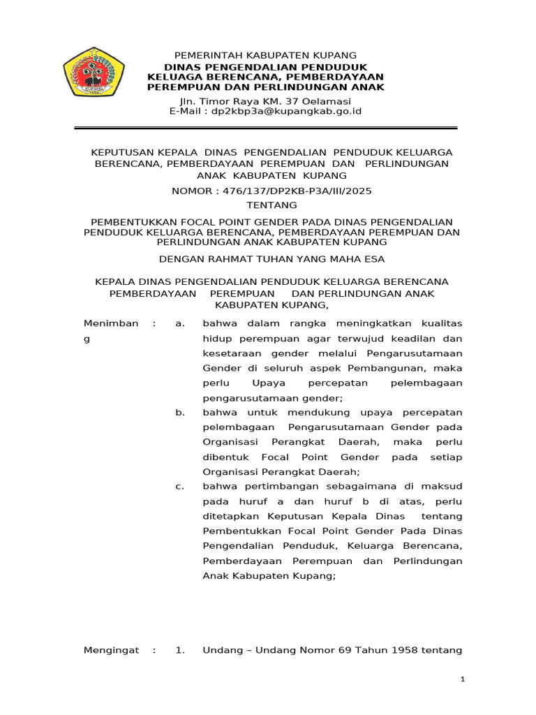 SK Focal Point Gender | PDF