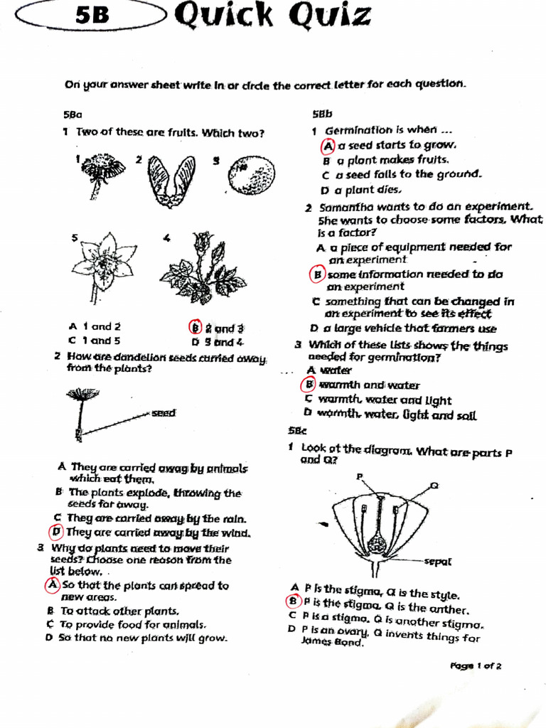 Plant Life Cycle and Reproduction Quiz | PDF | Reproduction | Plants