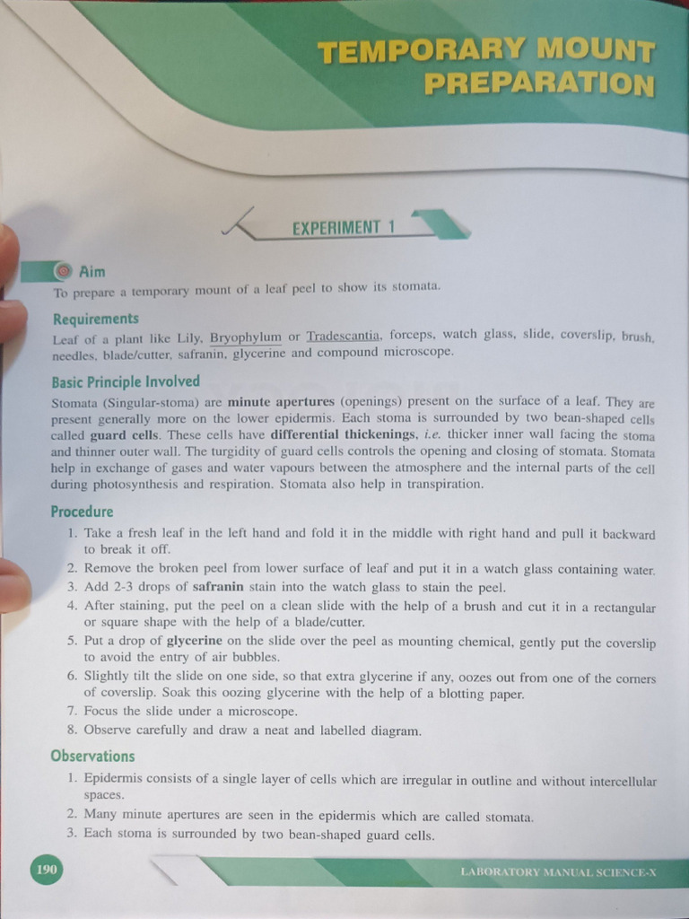 Science Practical | PDF