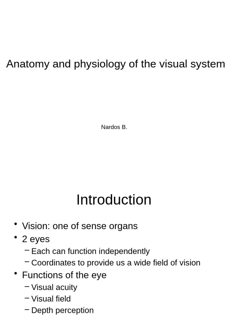 Visual System Anatomy and Physiology | PDF | Retina | Visual System