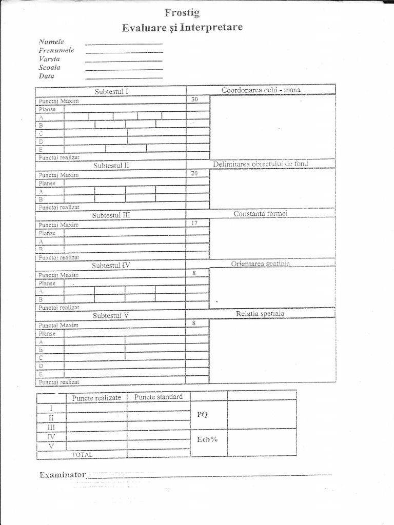 Fisa de Evaluare Si Interpretare Frostig | PDF