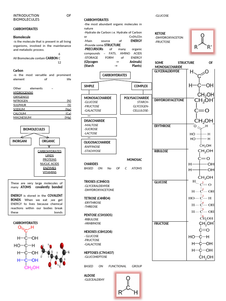 Introduction of Biomolecules | PDF | Carbohydrates | Biomolecules