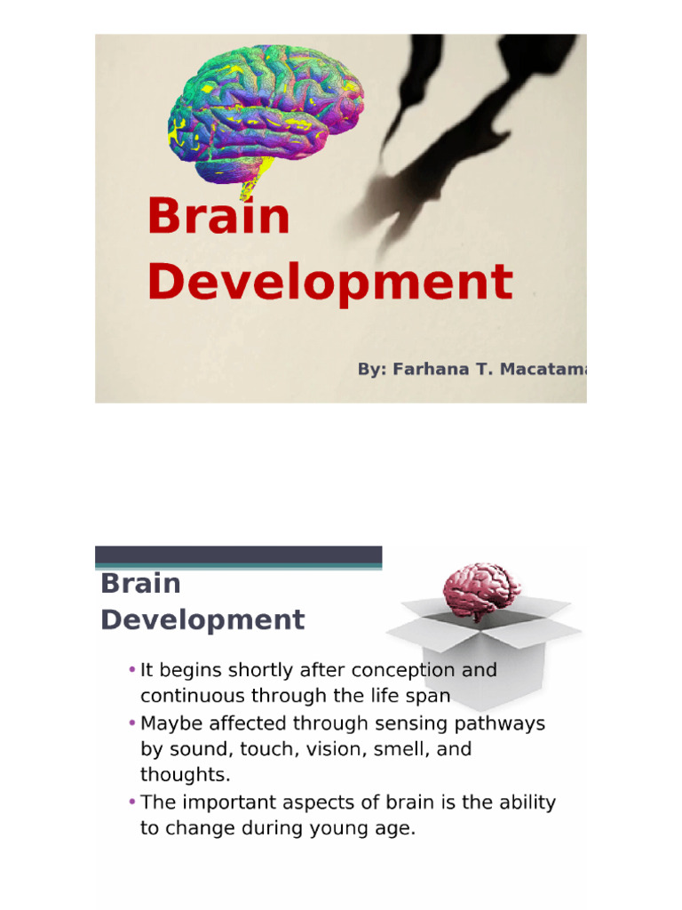 Biopsych Unit 5 | PDF