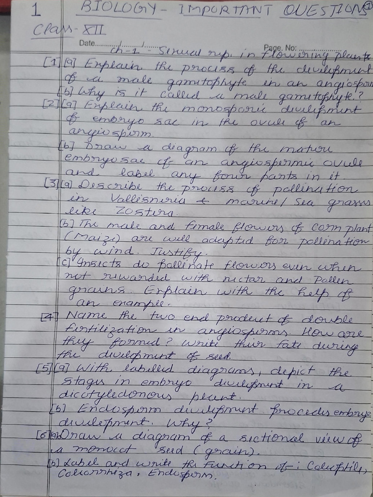 Class 12 Biology Important Questions | PDF
