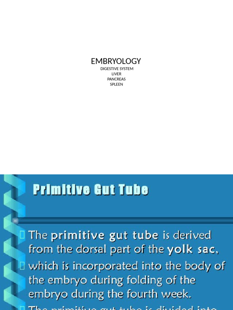 Embryology-Digestive System | PDF