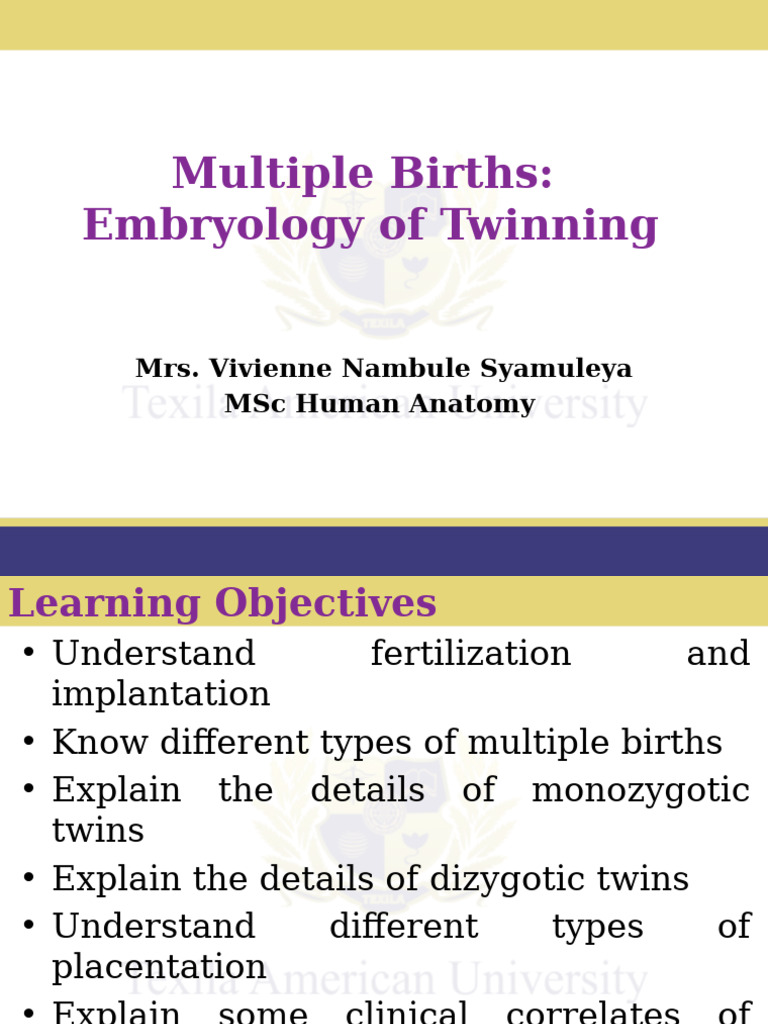 Multiple Births | PDF | Twin | Multiple Births