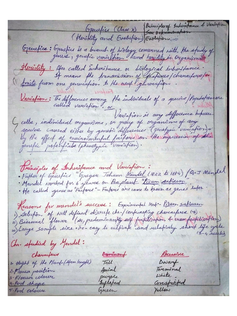 Genetics Notes | PDF