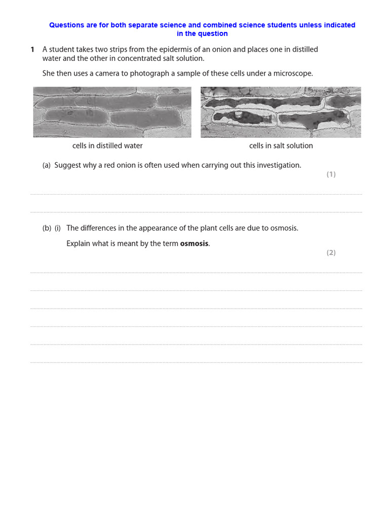 Movement of Substances Into and Out of Cells 1 QP_251112_182607 | PDF ...