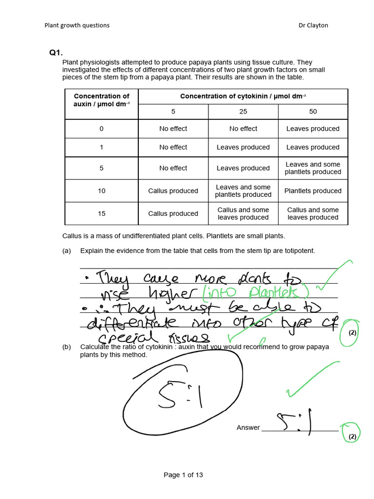Plant Growth Questions - Response - ACL - Q - Only | PDF | Root | Organisms