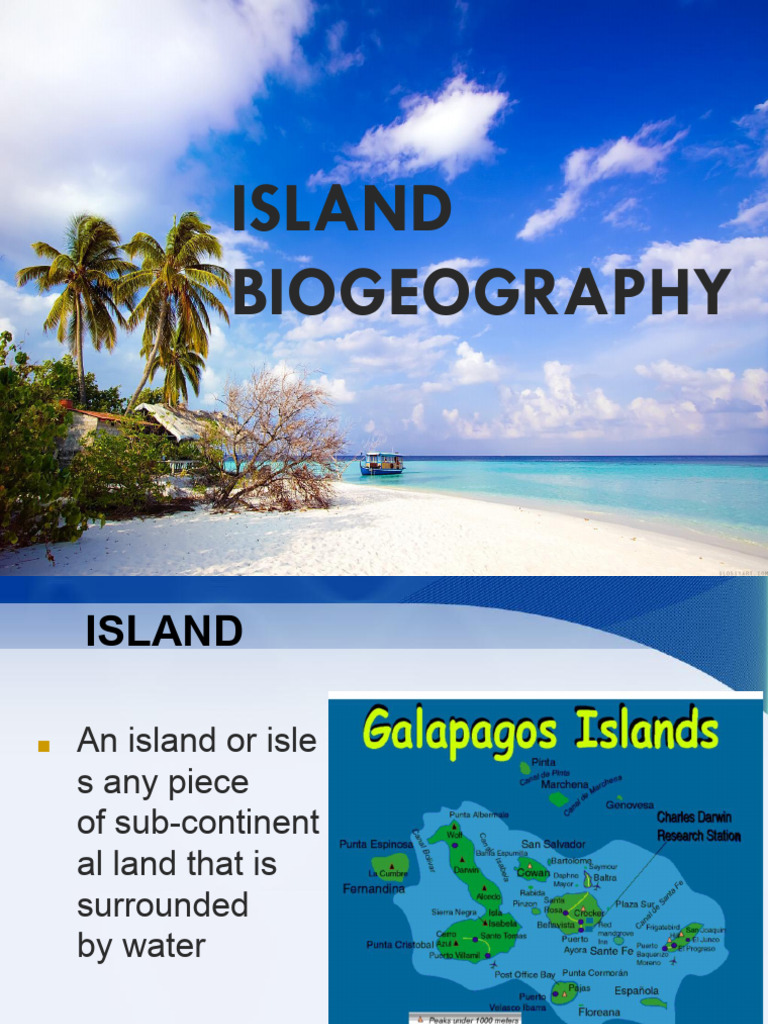 Understanding Island Biogeography | PDF | Island | Plate Tectonics