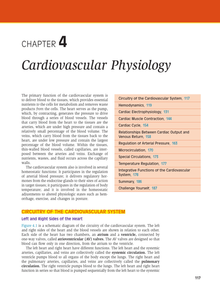 SL Tim | PDF | Heart Valve | Heart