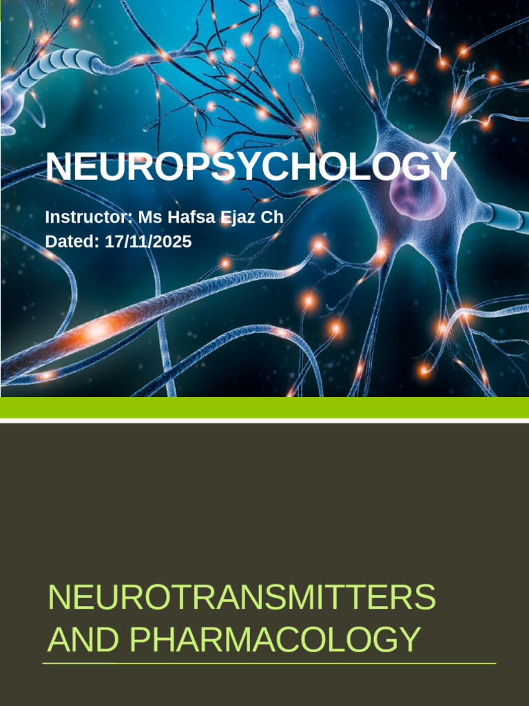 Neurotransmitters and Their Functions | PDF | Neurotransmitter | Synapse