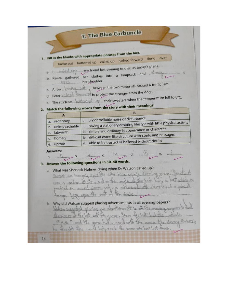 The Blue Carbuncle Question and Answer WB | PDF