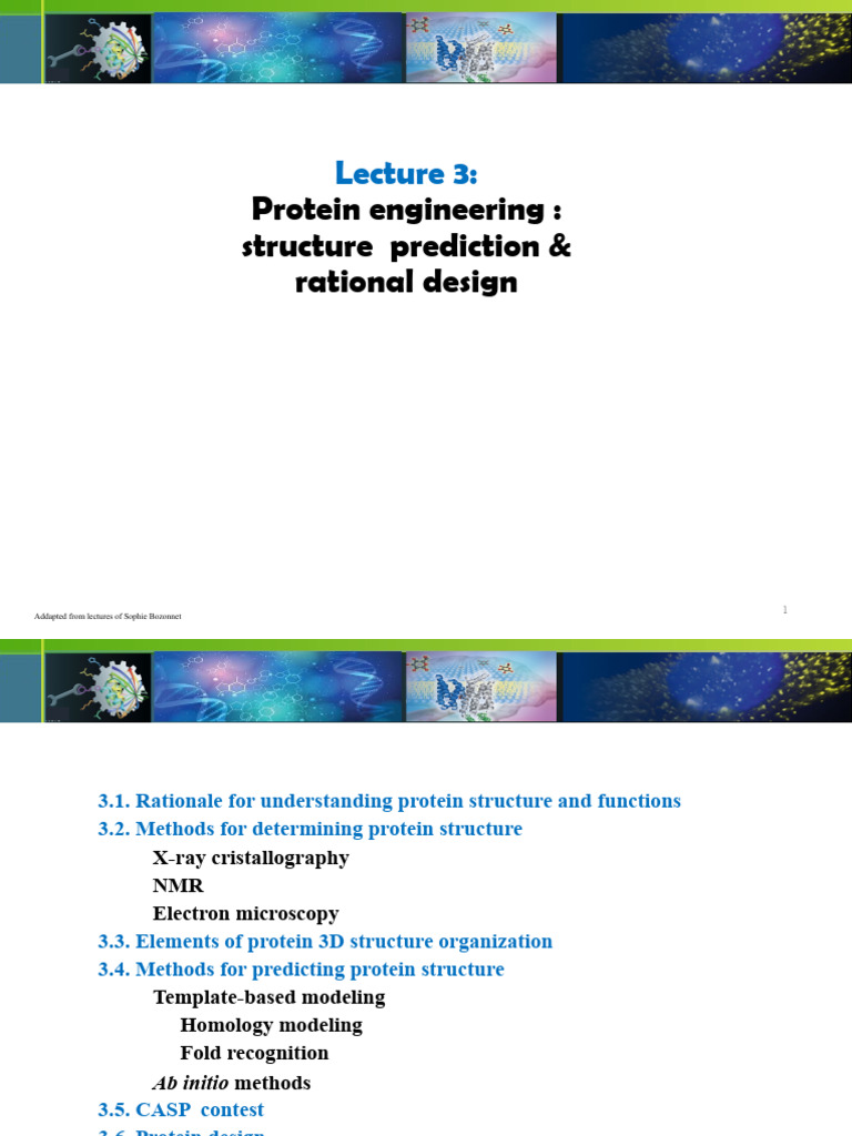 PE 03 2024 | PDF | Protein Structure | X Ray Crystallography