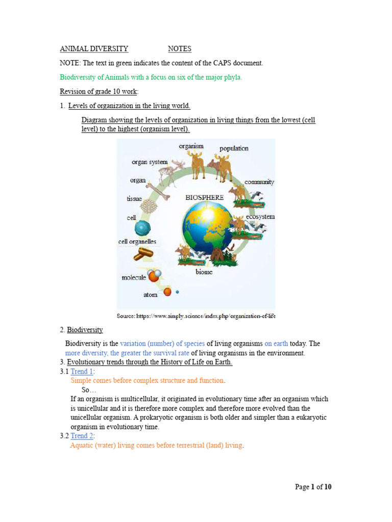 Animal Diversity and Classification Overview | PDF | Biology | Anatomy