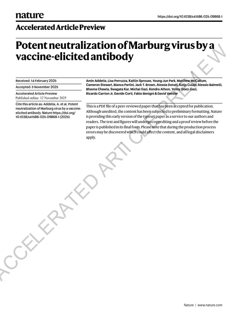 Potent neutralization of Marburg virus by a vaccine-elicited antibody ...
